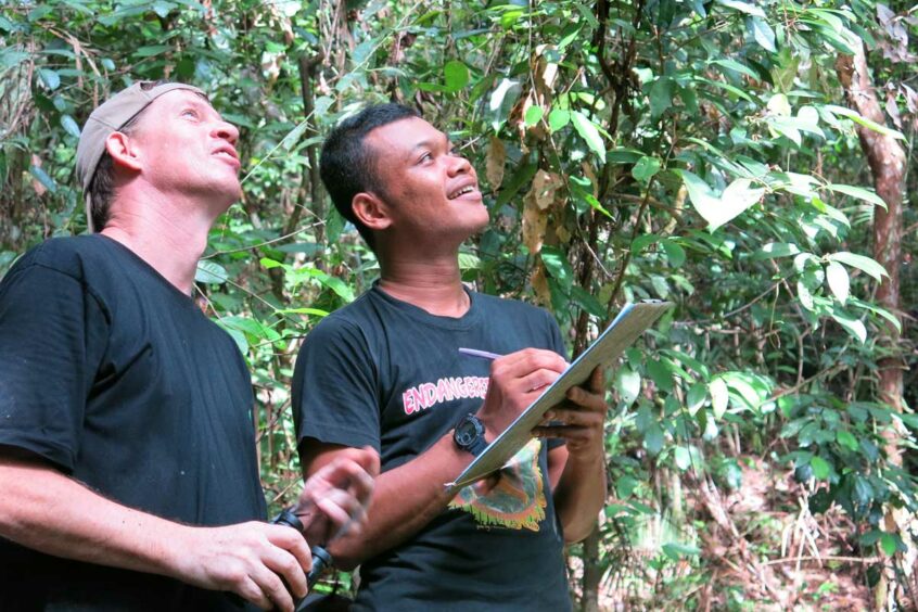 SOCP | Orangutan Rescue